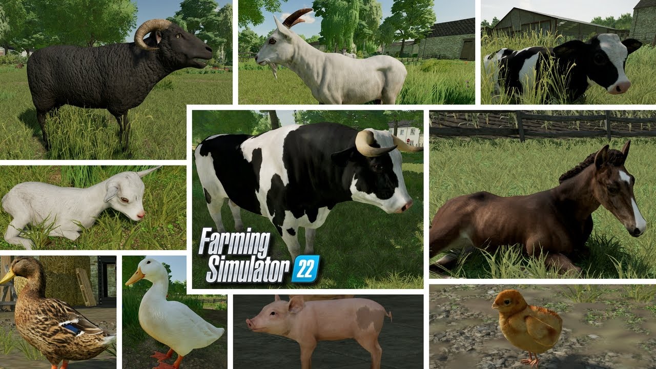 Farming Simulator 22 - 🦆Nowe zwierzęta 🐐 do dodania na 🐑 każdej mapie ...