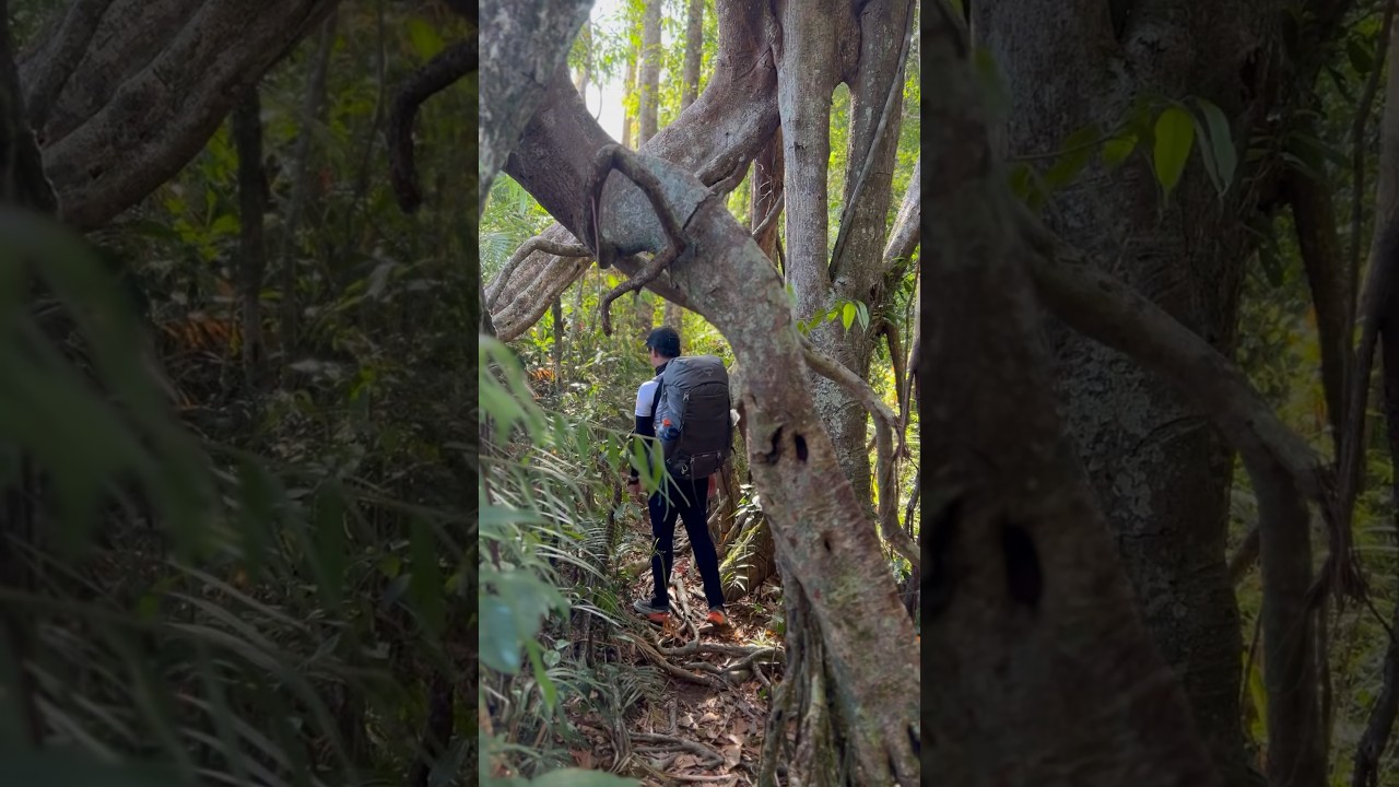 📌Mt. Mantalingahan Range #mantalingajan #mantalingajan # ...