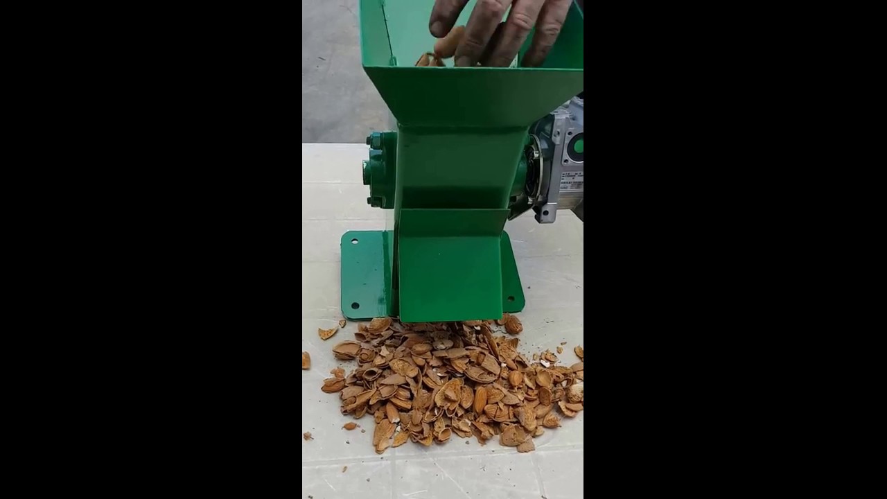 NUT CRACKER MACHINE GIAMPI MACHINERY - YouTube