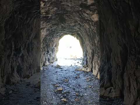 HARİKA LİMAN ARKASI...