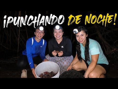BESSY y HUEVA se fueron hasta la Barra de Santiago a punchar/ Así de oscuro es el manglar de noche