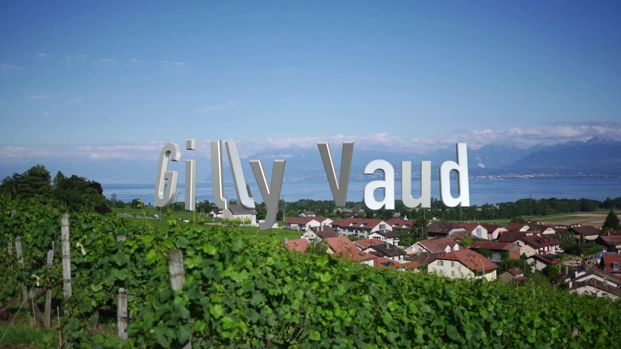 CAVES Ouvertes Vaudoises au Domaine de Chantegrive (Gilly) - YouTube