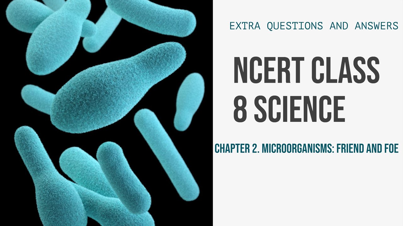 NCERT Class 8 Science Extra Questions With Answers Chapter 2 ncert-class-8-science-extra-questions-with-answers-chapter-2