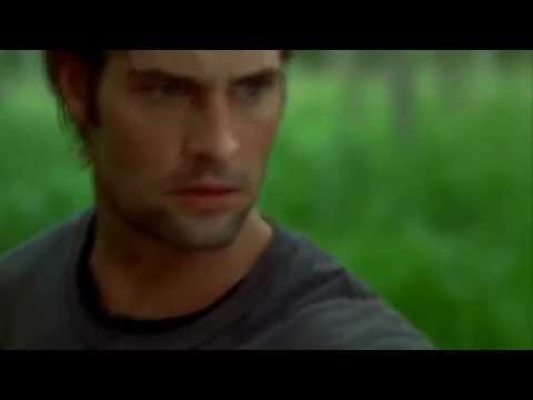 LOST  Sawyer kills a Polar Bear