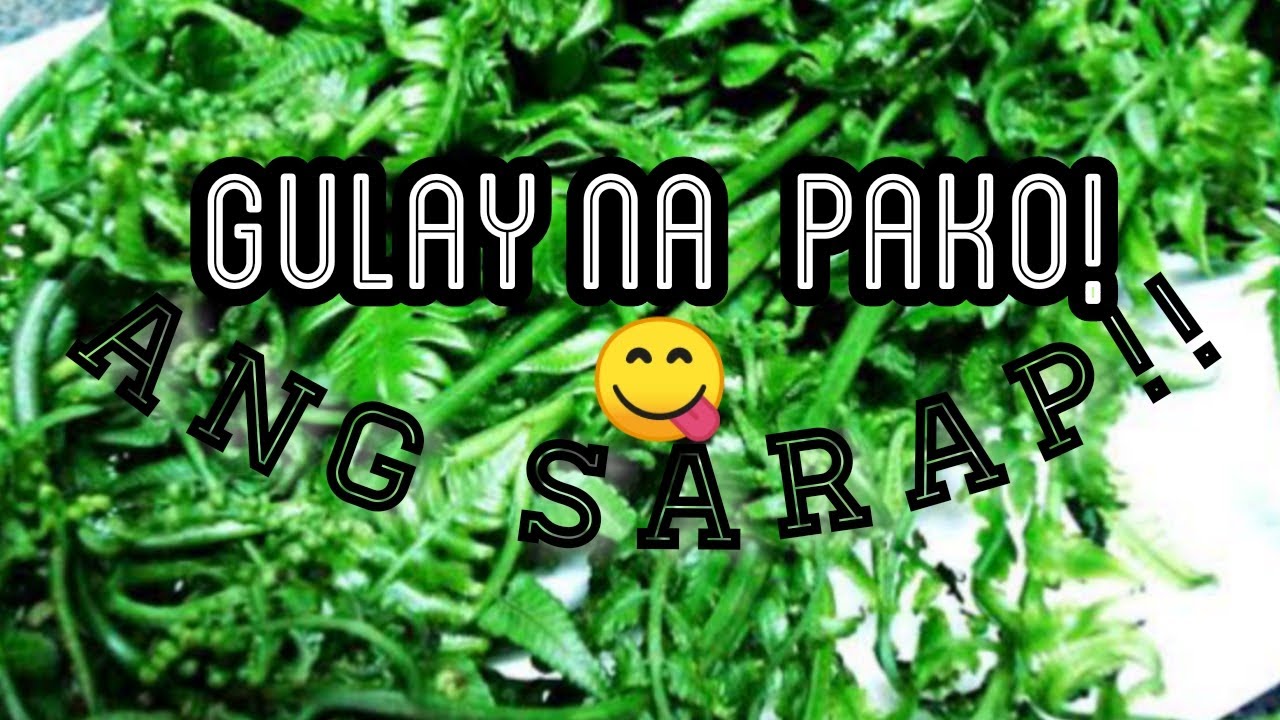 Paano mag luto ng Gulay na Pako! || Jeremiah Llorente - YouTube