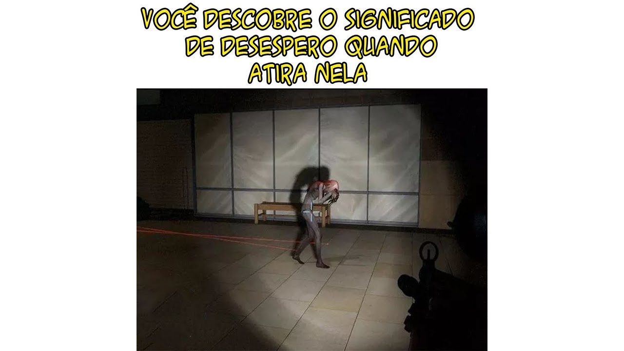 MEMES EM IMAGENS - O DESESPERO - YouTube