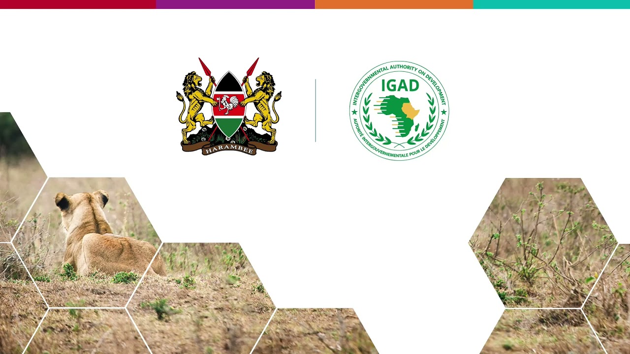 Disaster Risk Governance in the Context of Systemic Risks and COVID-19 ...