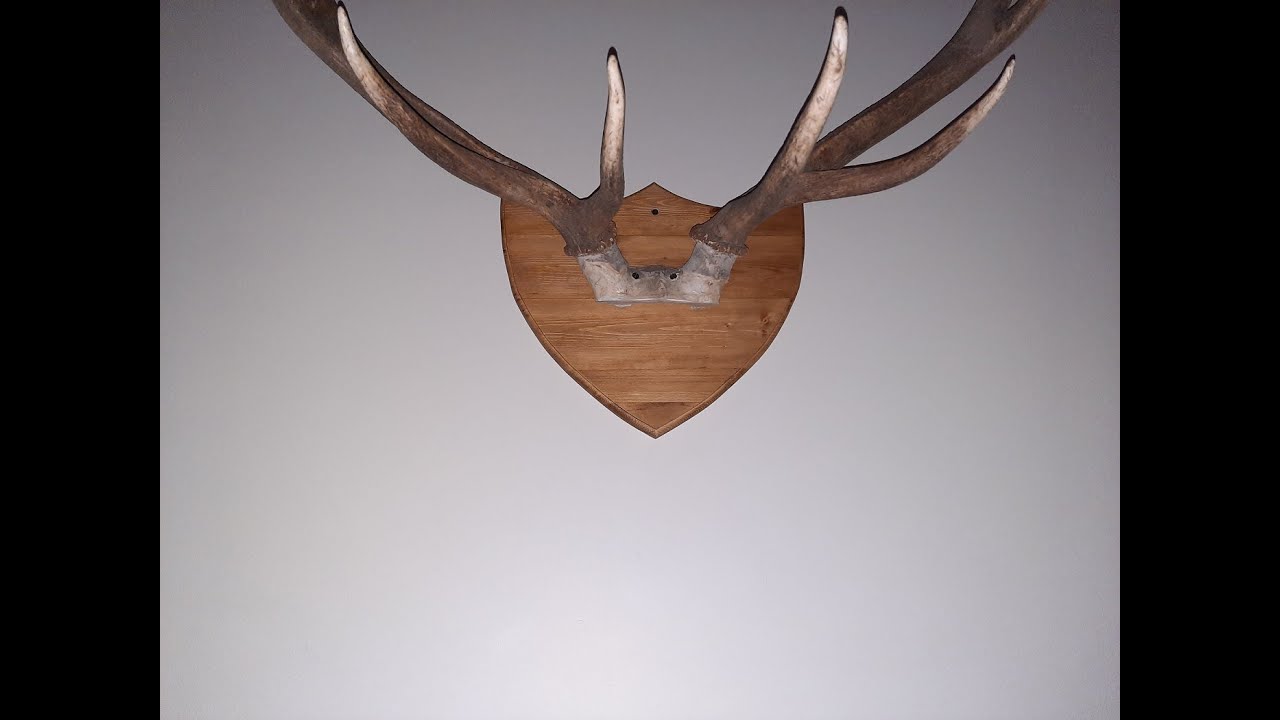 Hunters, How I made Wooden Plaques for Elk Antlers - YouTube