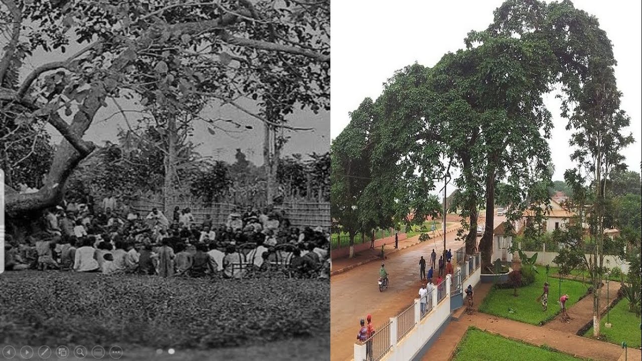 YALA MKUWU: THE ANCIENT MIGHTY TREE OF KONGO KINGDOM that contains ...