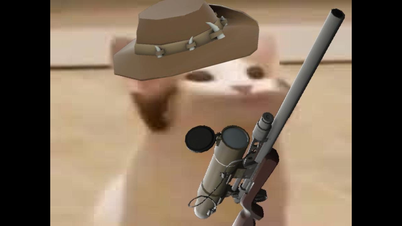 Meet the Pop Cat - YouTube