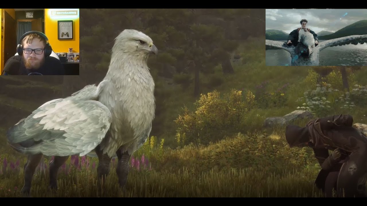 Beast class might be my new favorite! - YouTube