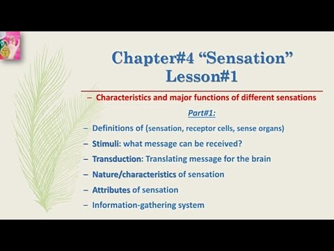 Sensation | in English language | by Dear Knowledge - YouTube
