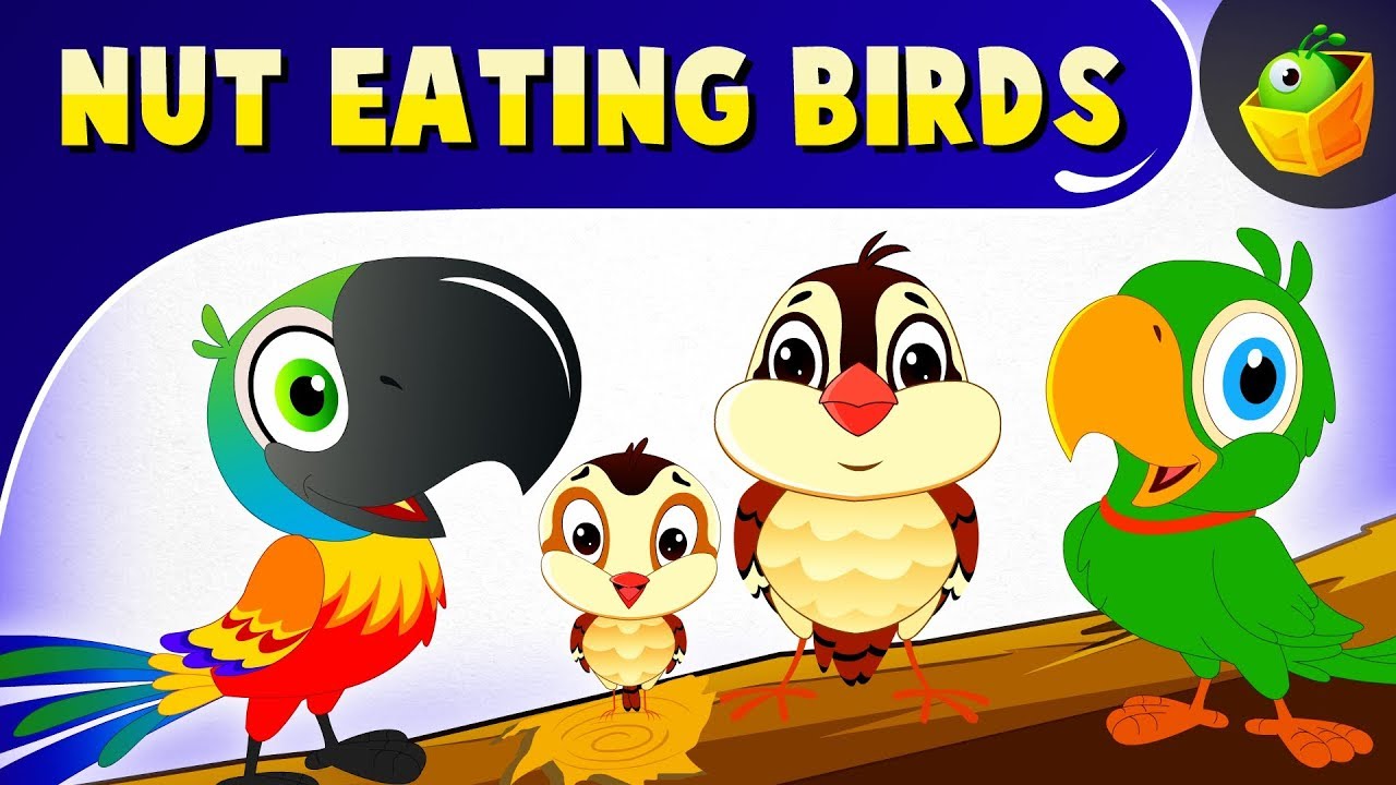 Nut Eating Bird - Preschool learn spelling video for kids - Watch this ...