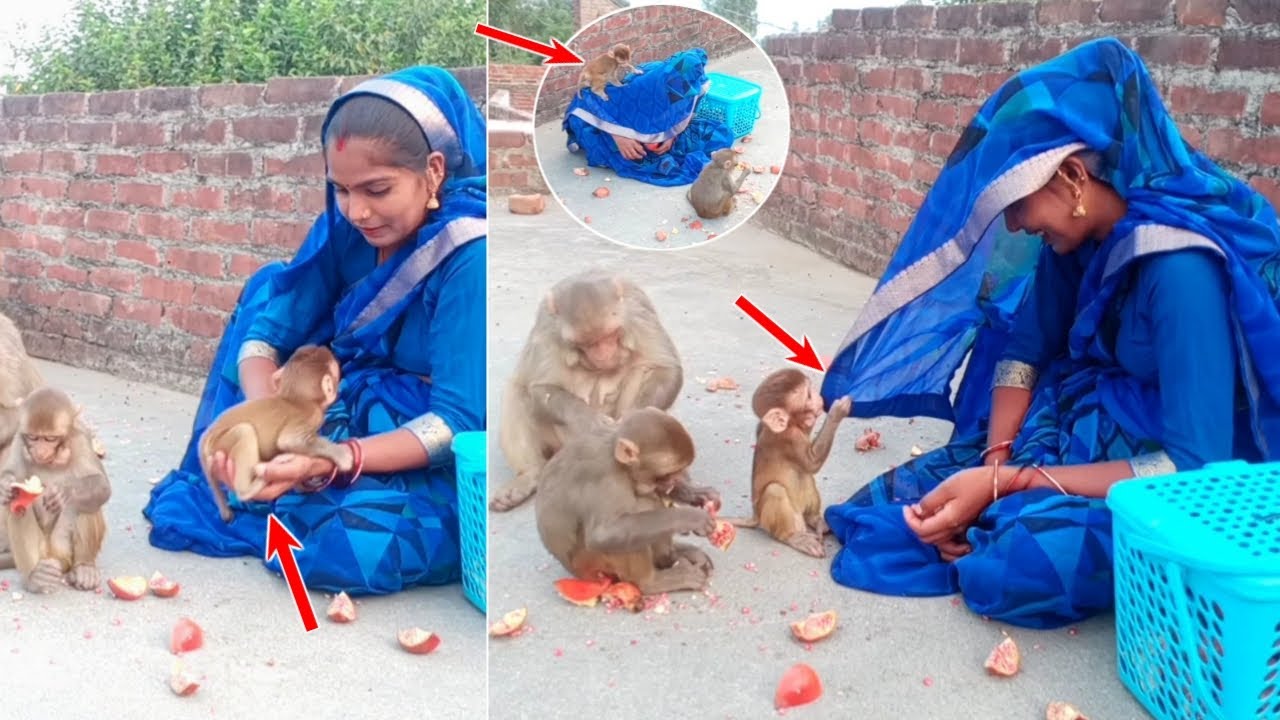 अनार पार्टी में चिकने की ग्रैंड मस्ती | Feeding Fresh Anar To Our ...