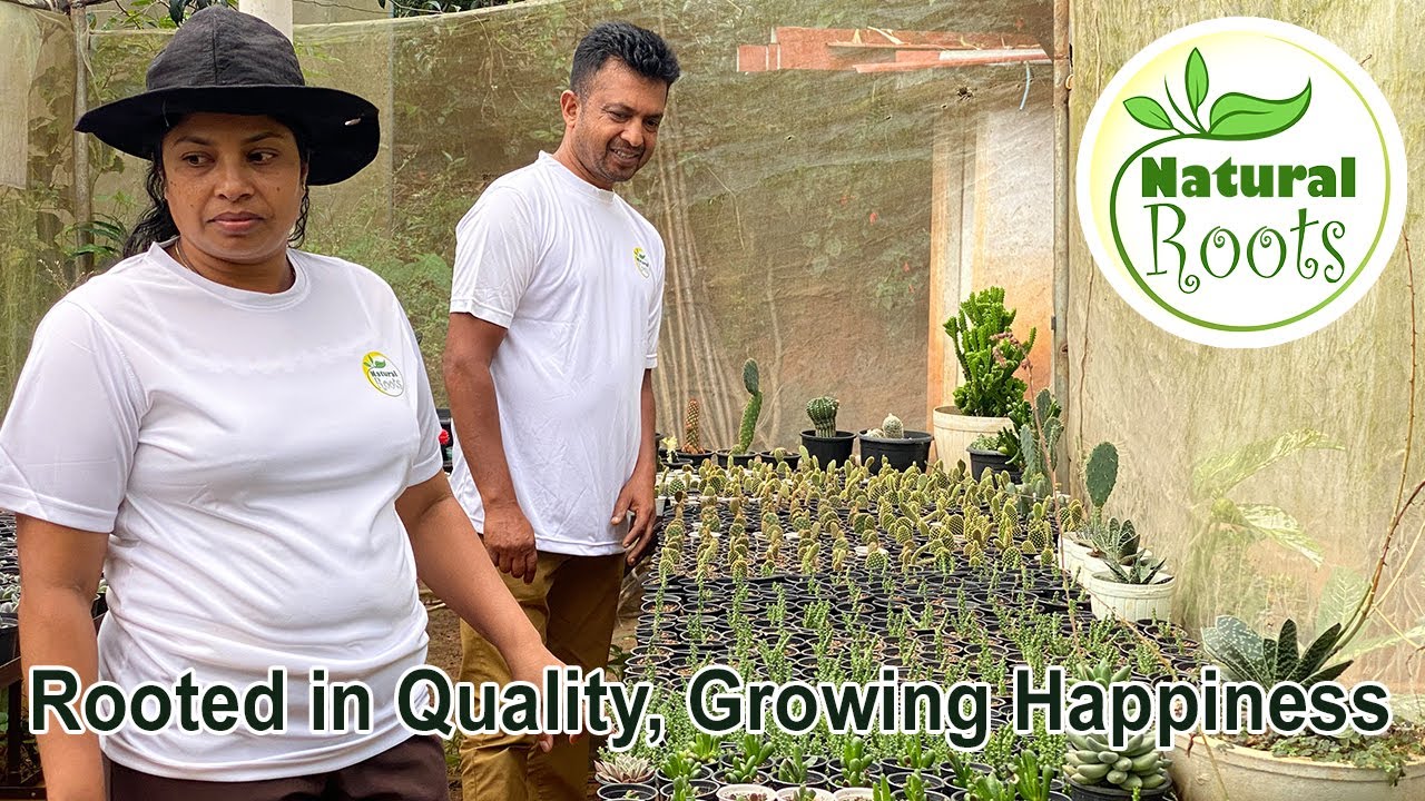 Natural Roots | Rooted in Quality, Growing Happiness - YouTube