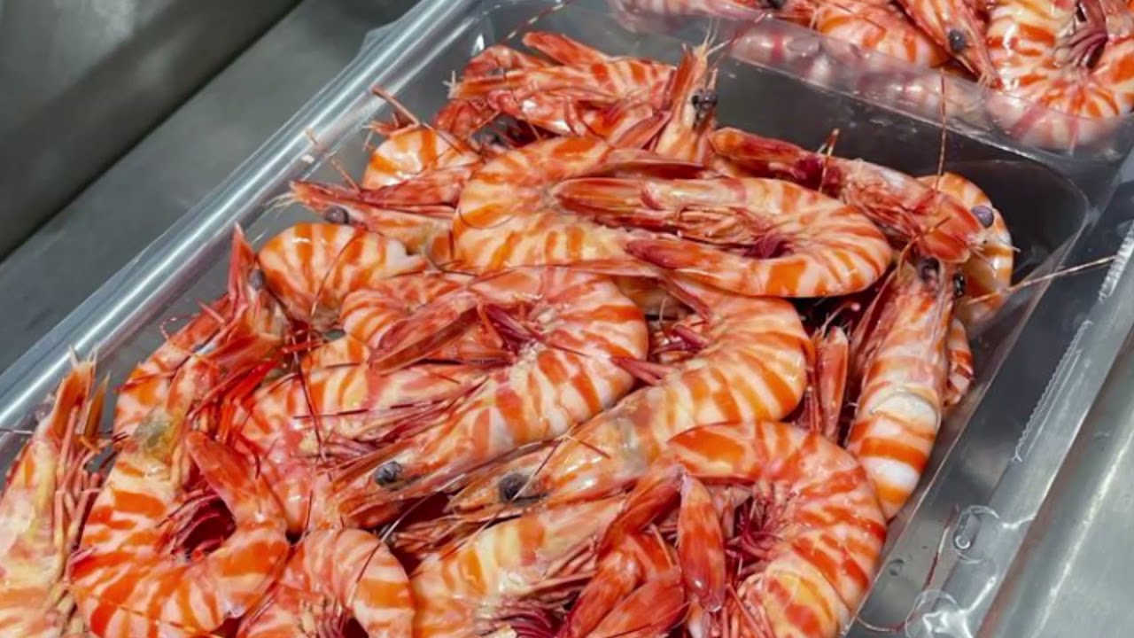 Cooked Shark Bay Tiger Prawns - YouTube