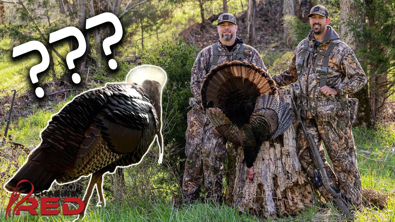 Chasing Red | The Curse is Broken, Close Range Headshot - YouTube