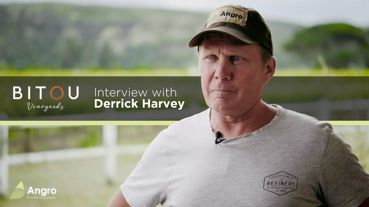 Bitou Vineyards & Wines - BioCo Testimonial - YouTube