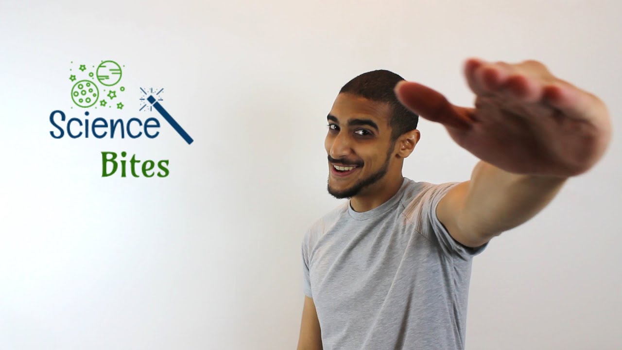 SCIENCE BITES - YouTube