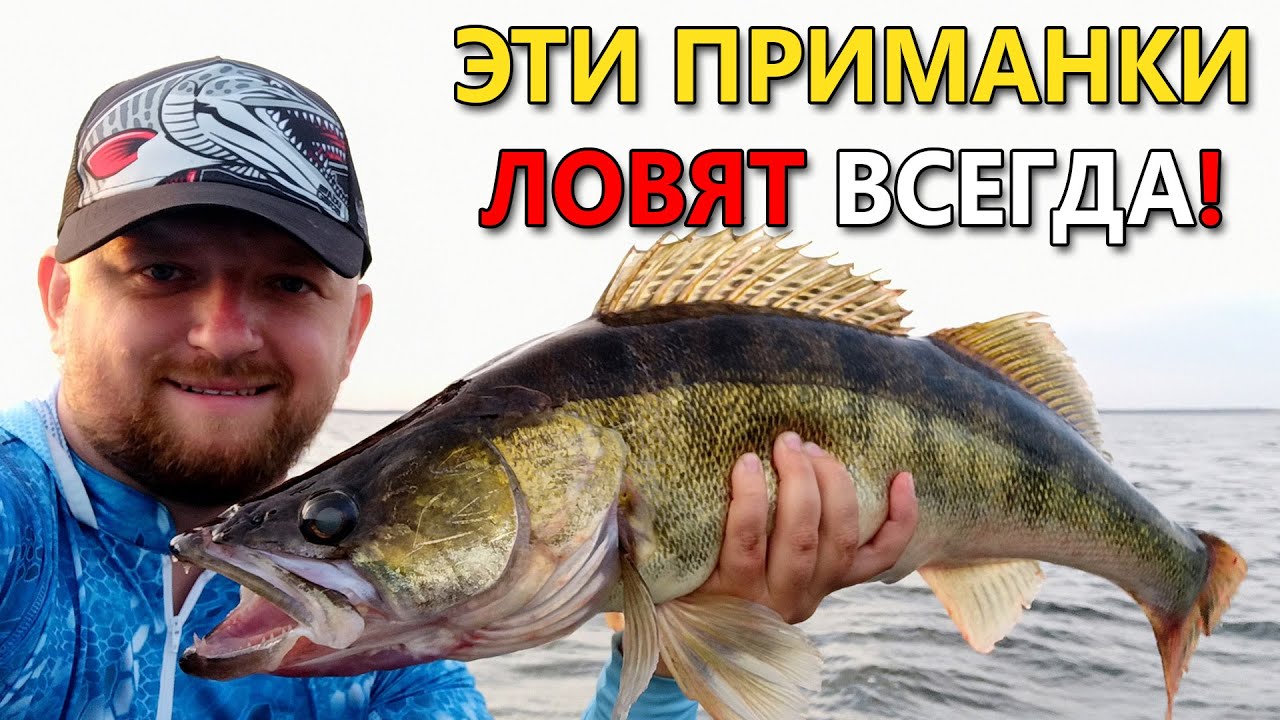 ЭТИ ПРИМАНКИ ПО СУДАКУ РАБОТАЮТ ВСЕГДА! Ловля судака на джиг 2020 ...