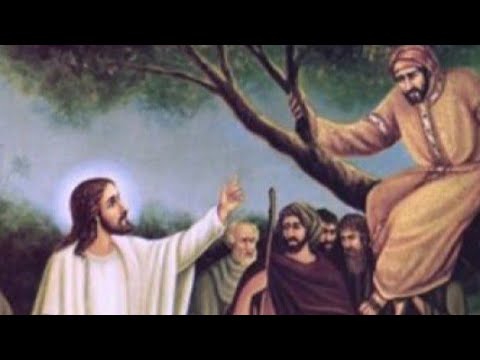 🔴 ዝናውን ሰምቼ ፈለኩት