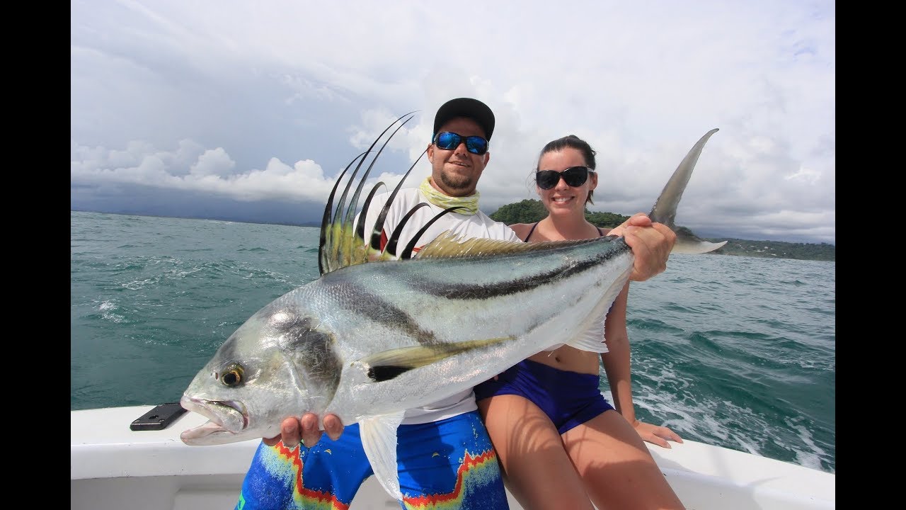 Roosters & Billfish Aboard GOOD DAY, Costa Rica! - YouTube