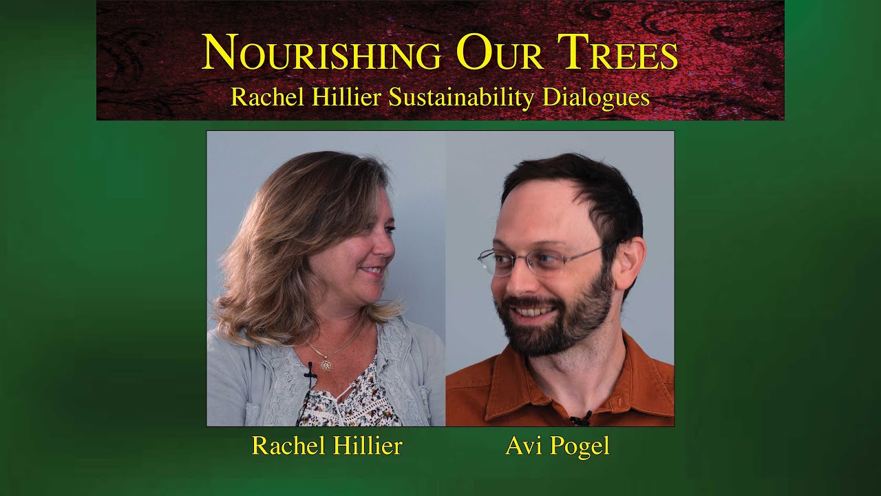 Nourishing Our Trees, Avi Pogel • Sustainability Dialogues - YouTube