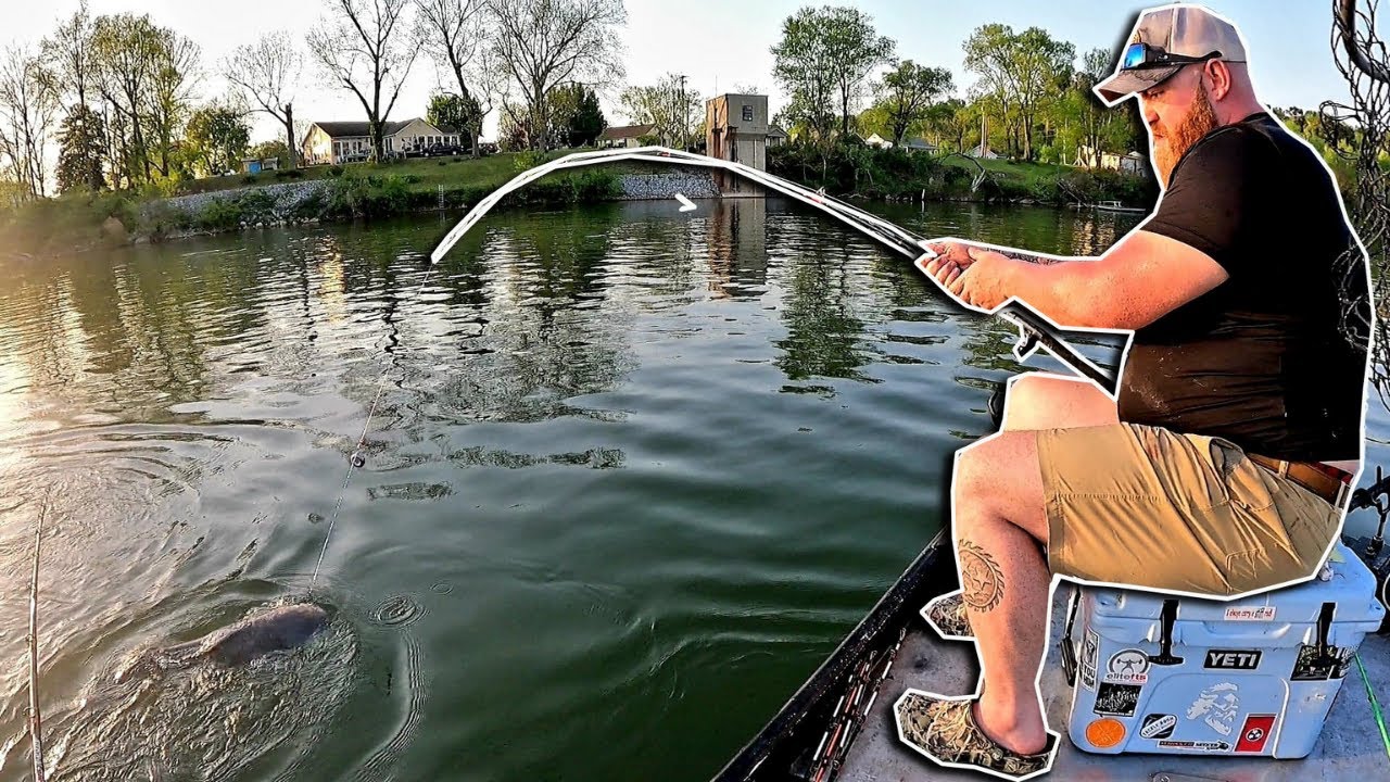 BIG CATFISH FISH SLAMS ROD INTO THE WATER! - YouTube