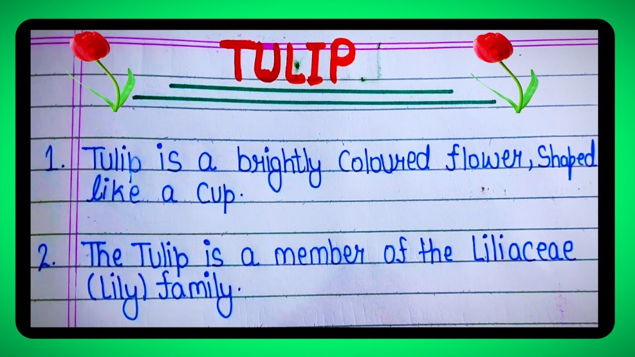 10 Lines Essay On Tulip| Short Essay On Tulip Flower| About Tulip ...