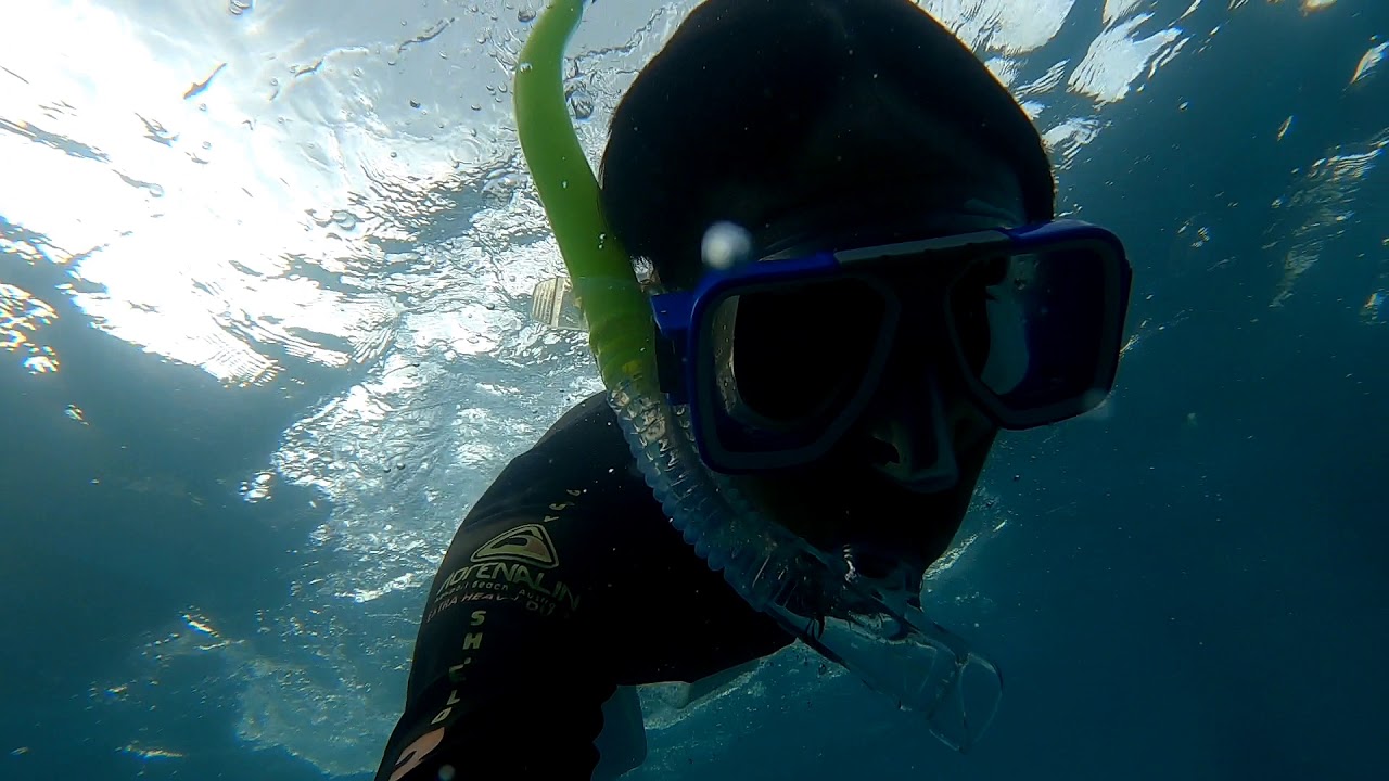Snorkeling Trip to Hook Island - YouTube