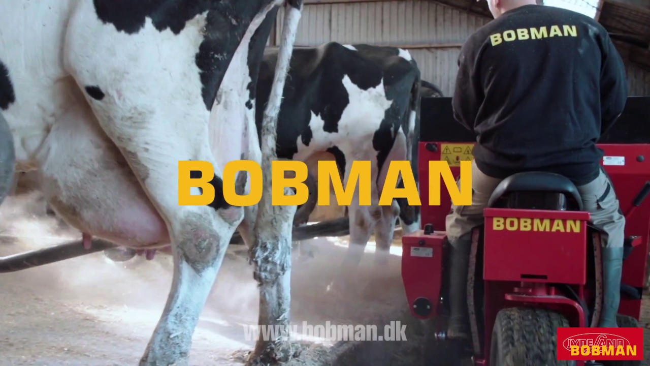 Bobman S bedding spreader testimonial in a freestallbarn with robotic ...
