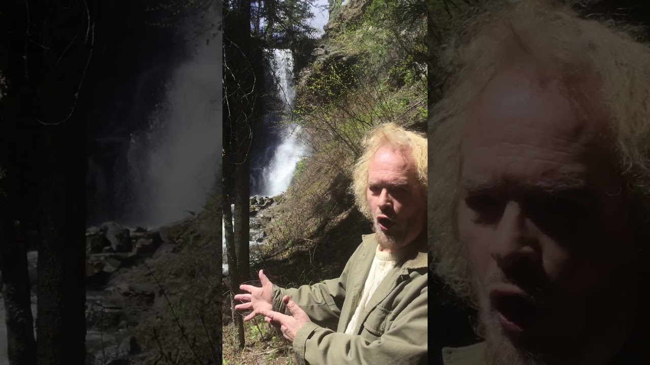Missing the musicians: the woods of the crowsnest pass, alberta, canada ...
