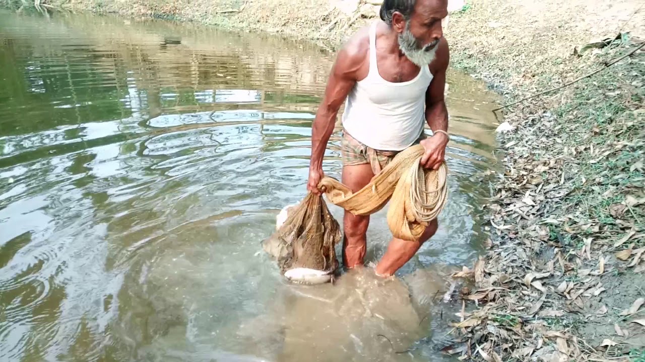Old Man Catching Fish by Hand Made net | Net Fishing in the Pond ...
