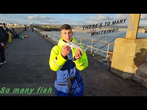 Fishing At Shoreham West Arm 🎣🐟 - YouTube