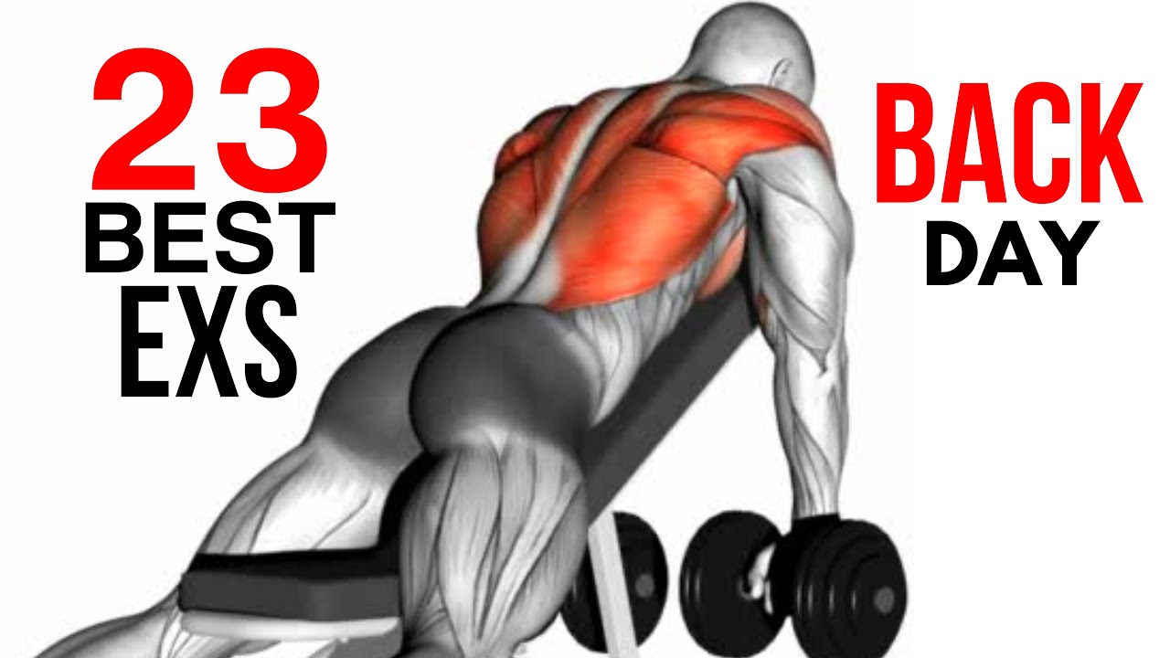 "Back Mastery: Top 23 Exercises for a Stronger, Sculpted Back!" - YouTube
