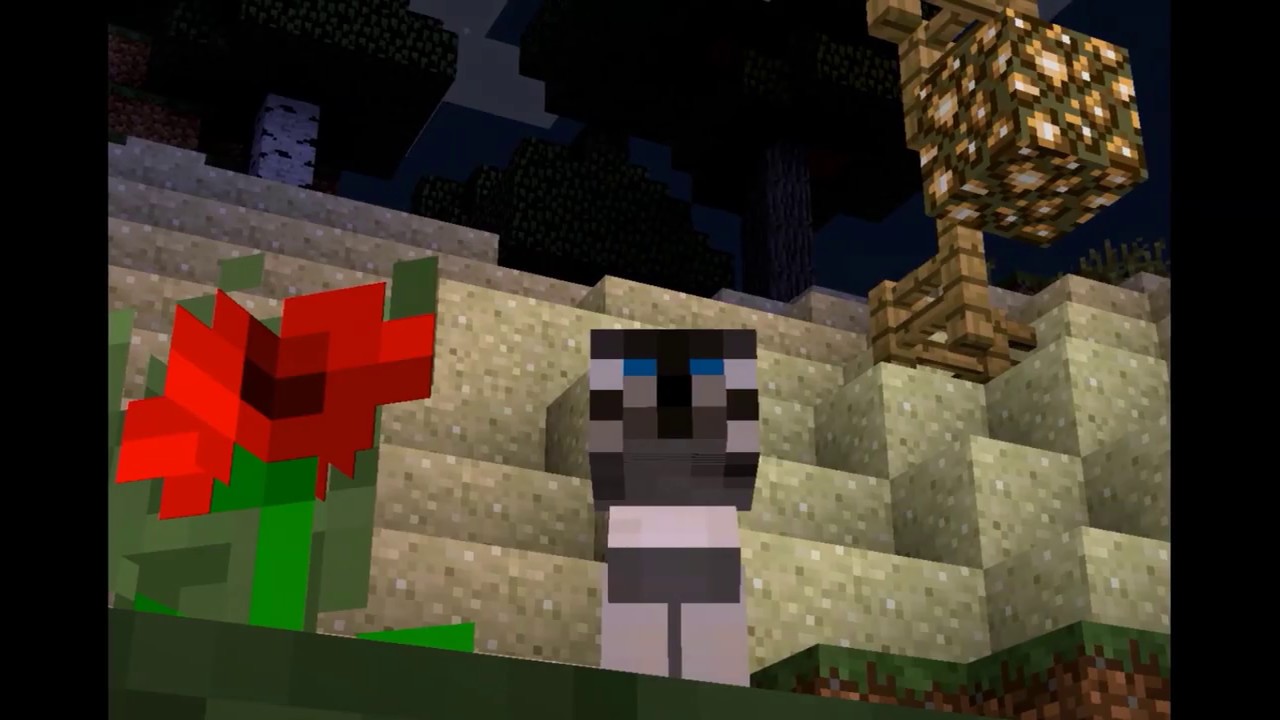 Minecraft Cat Sound - YouTube