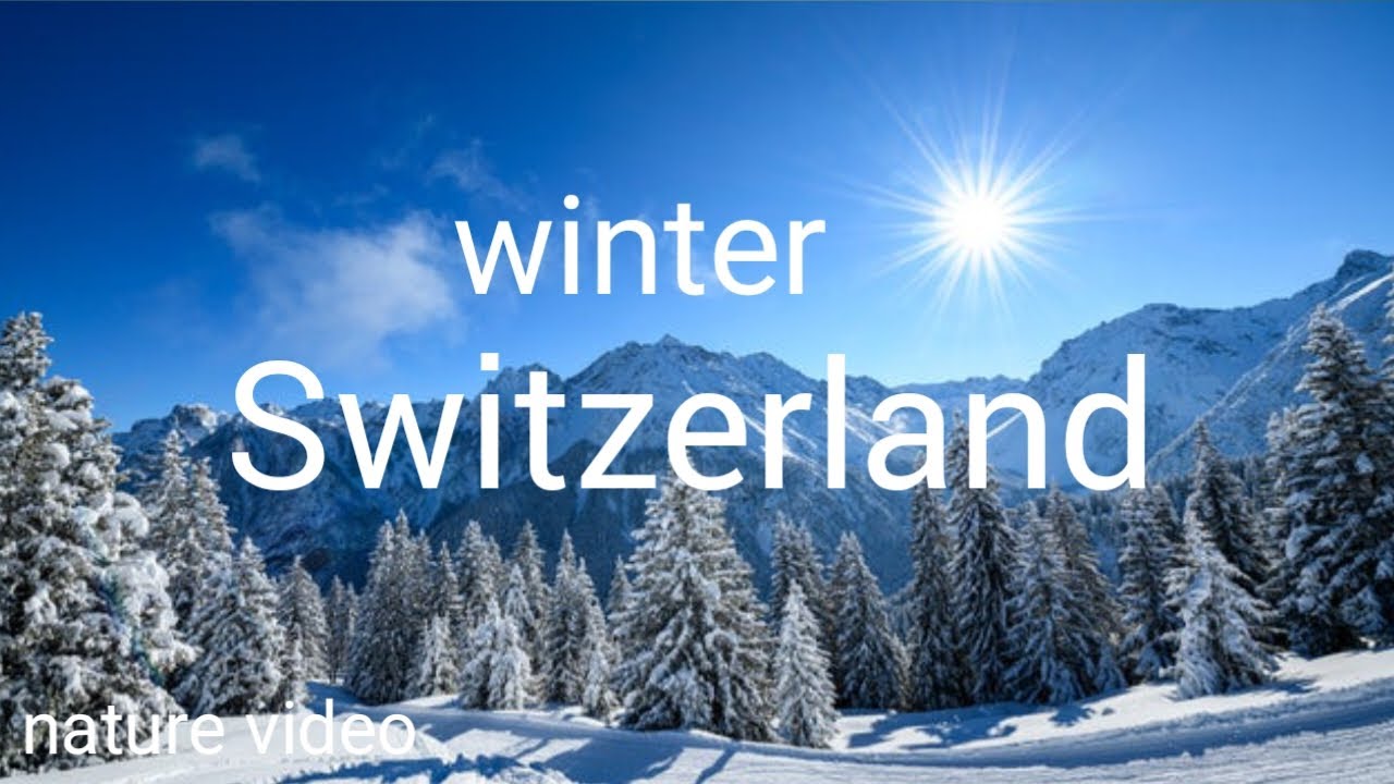 How to do dti winter spotlight || dti winter quest walkthrought ...