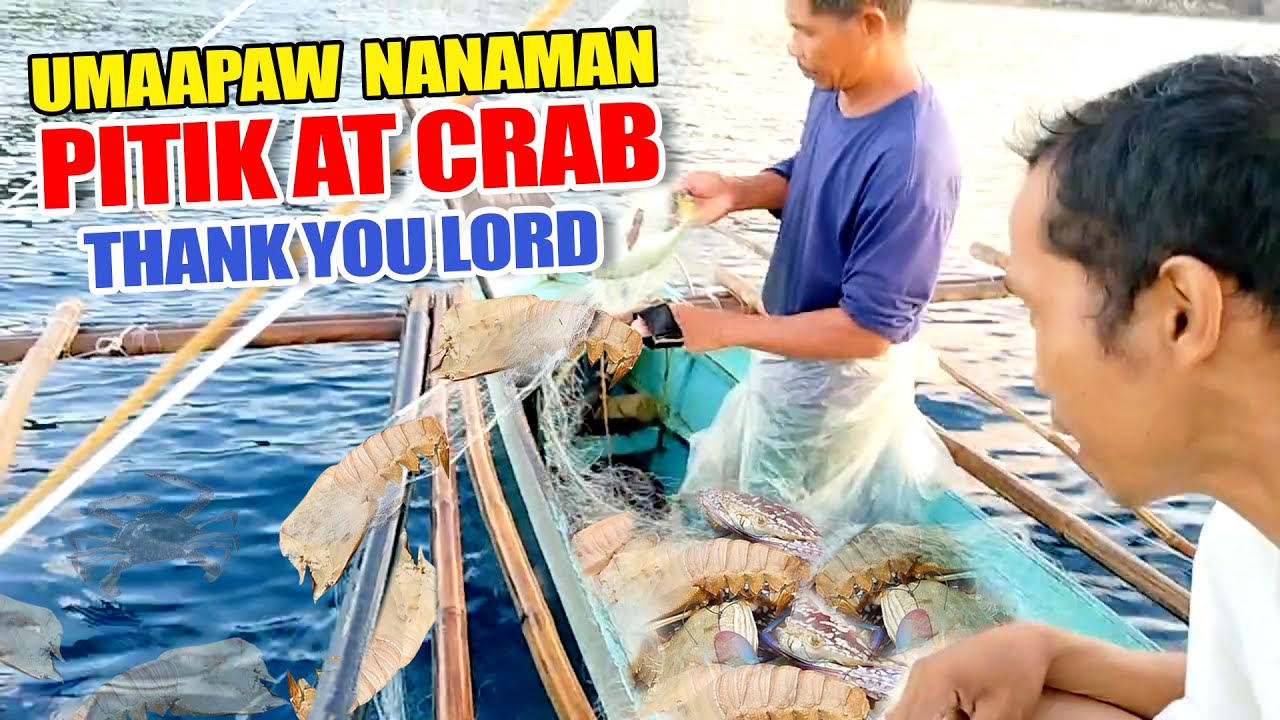PANIBAGONG SWERTE NANAMAN SA KARAGATAN | CRAB | PAMITIK IBA TALAGA ...