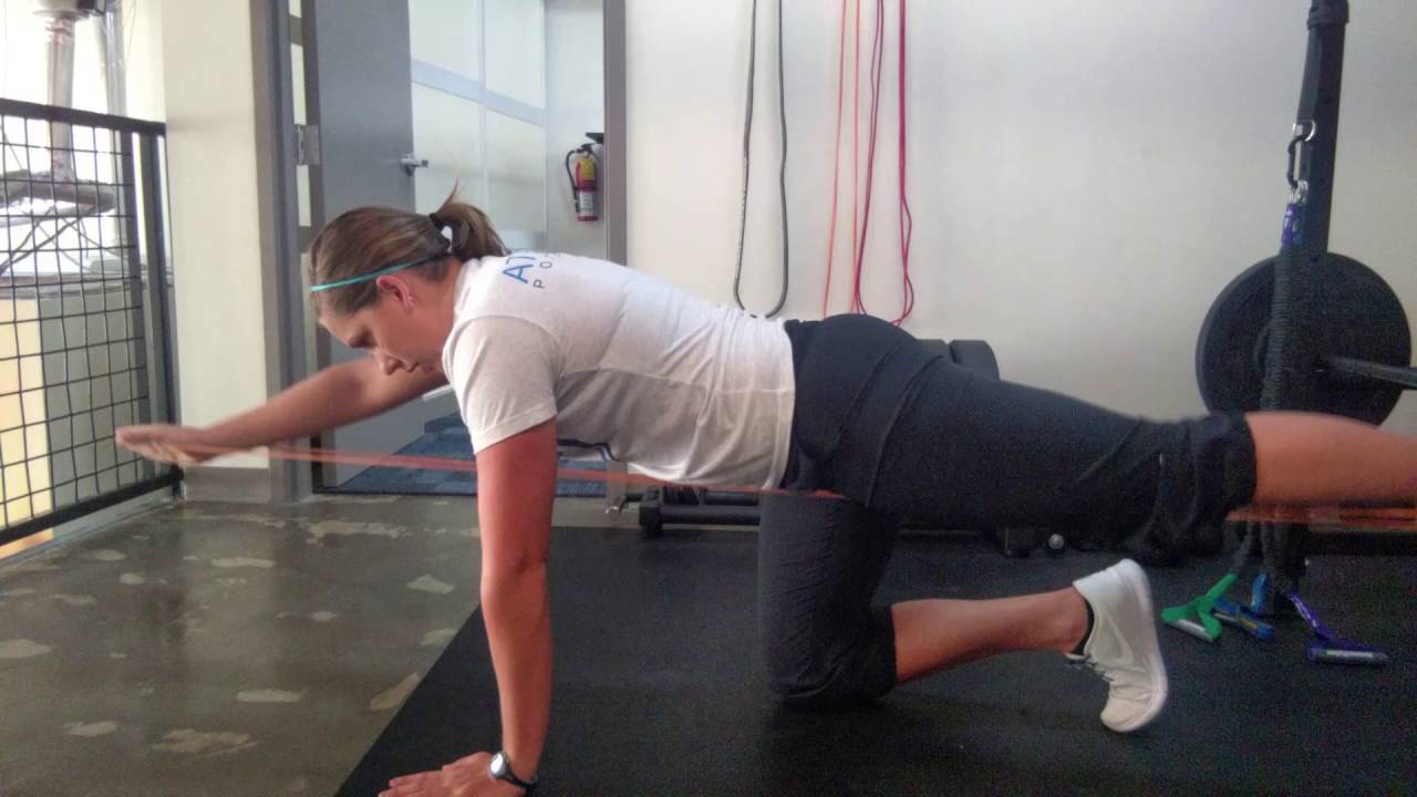 Banded Bird Dog - YouTube