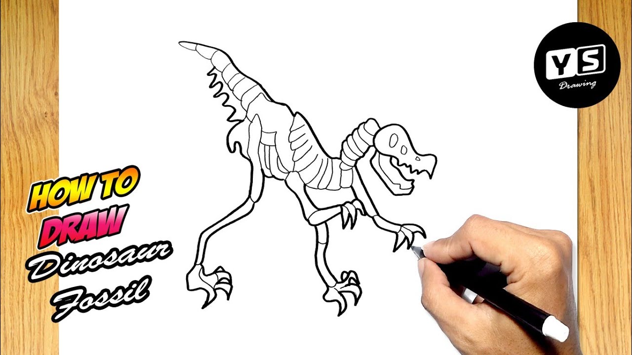 How to draw Dinosaur Fossil - YouTube