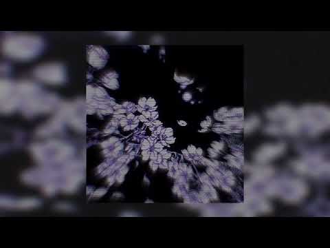 arilavie - mlxw