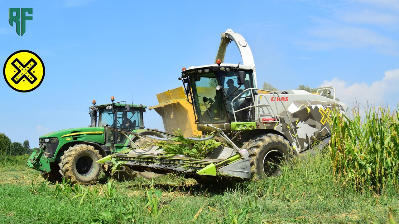 |Trinciatura Mais da Gomiero Farm | Claas Jaguar 880| Insilato Mais ...