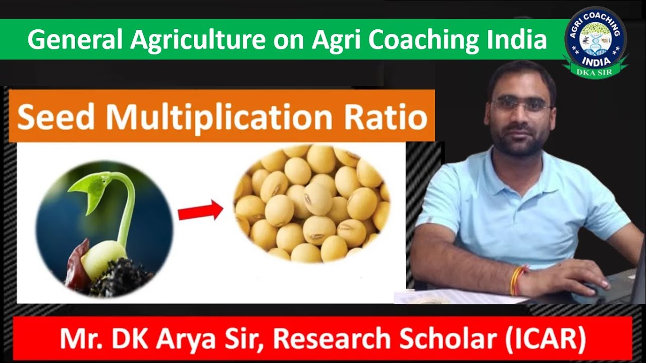 Seed Multiplication Ratio || Ratio of Seed Multiplication || Seed ...