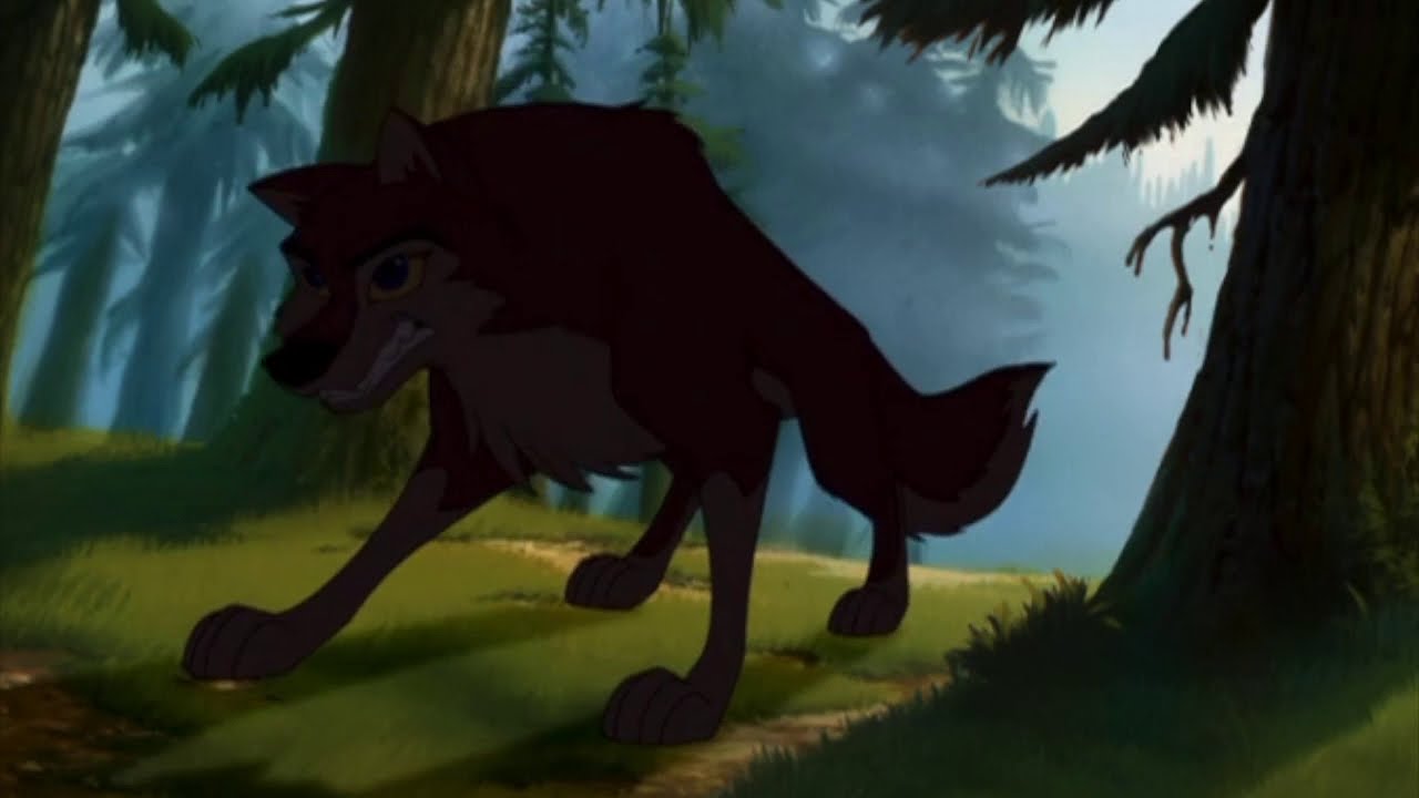 She Wolf (Wolves Tribute) 🐺 - YouTube