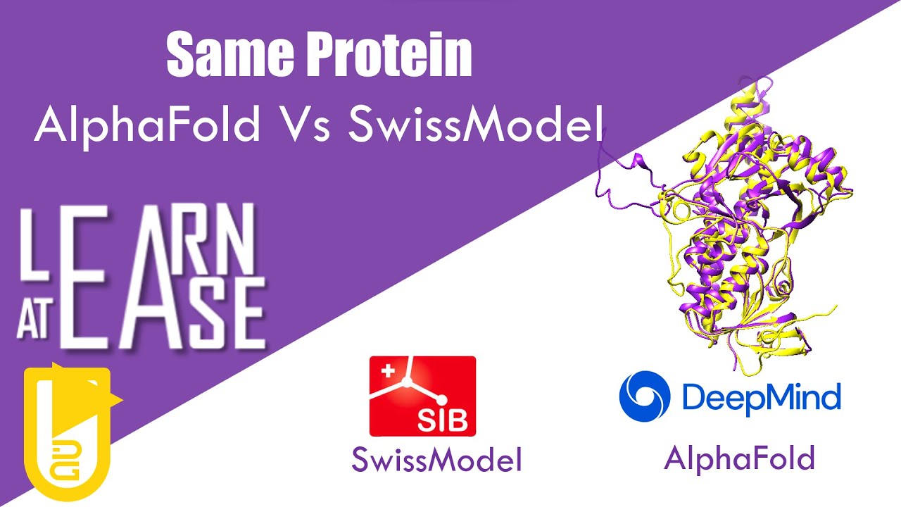 Epilogue 2 | SwissModel versus AlphaFold Protein Model Structure ...