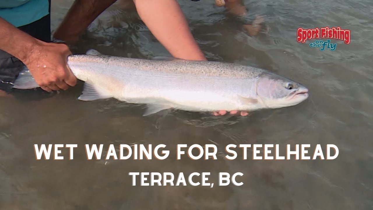 FLY FISHING: WET WADING FOR STEELHEAD - YouTube