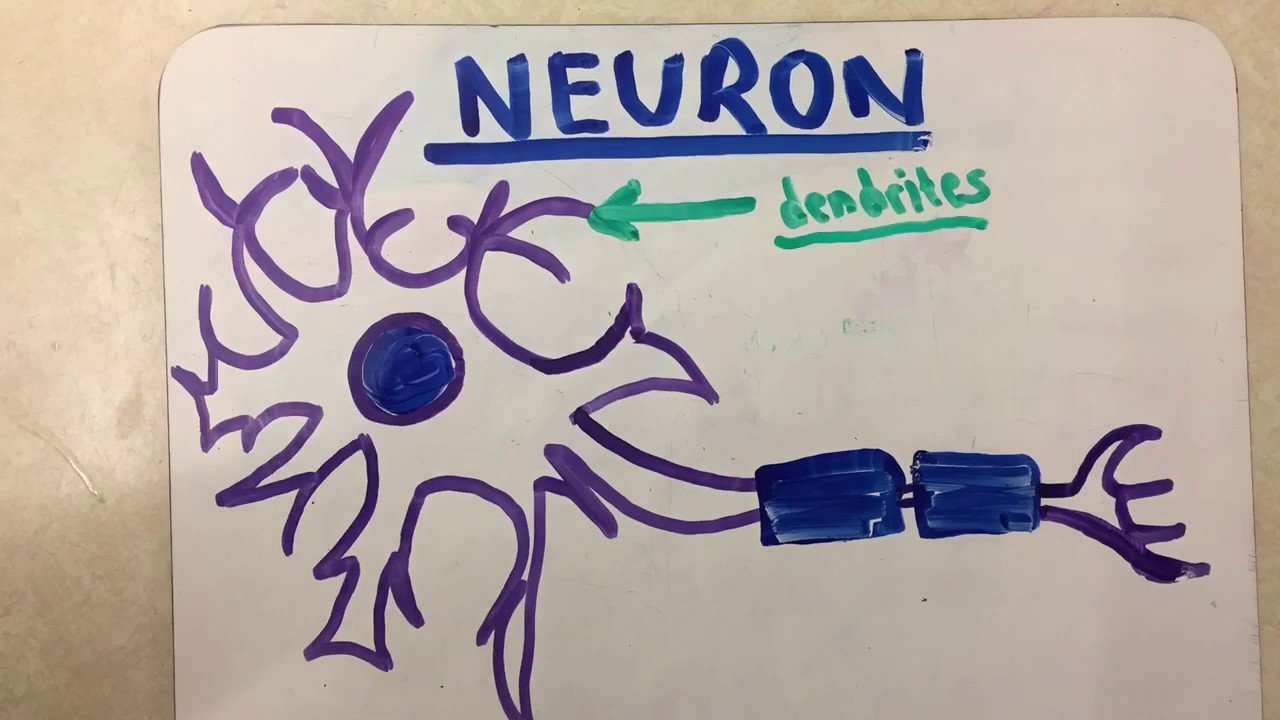 Malone Project - YouTube