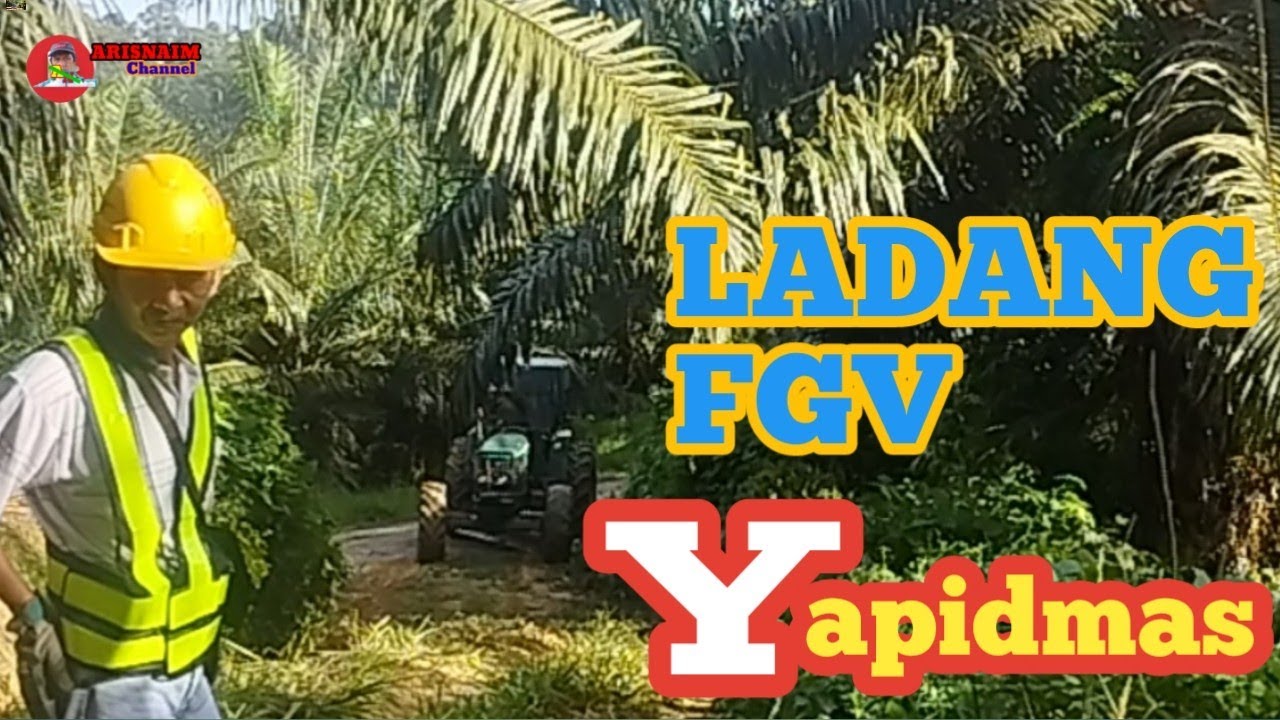 Arisnaim #grader jalan #ladang FGV yapdmas - YouTube
