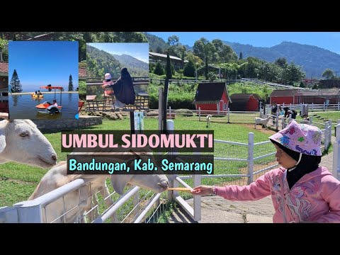 JALAN-JALAN KE UMBUL SIDOMUKTI/BANDUNGAN KAB. SEMARANG/LITTLE RANCH ...