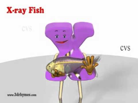 Letter X Song 3D Animation Learning English Alphabet ABC Songs for ...